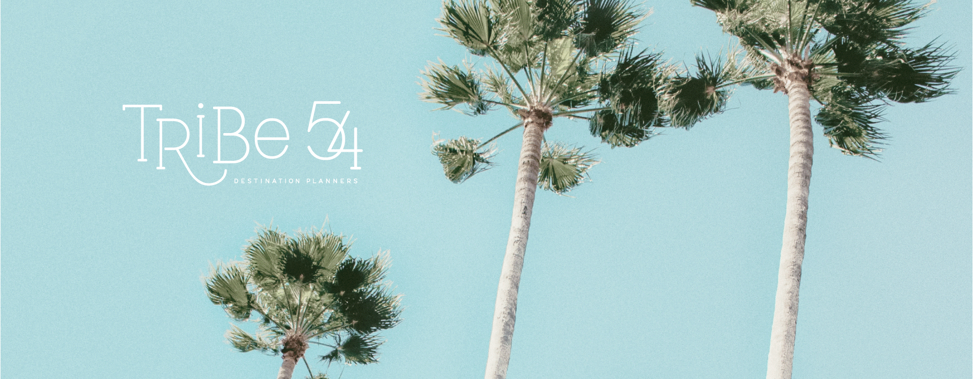 Tribe 54 — AllieMarie Design
