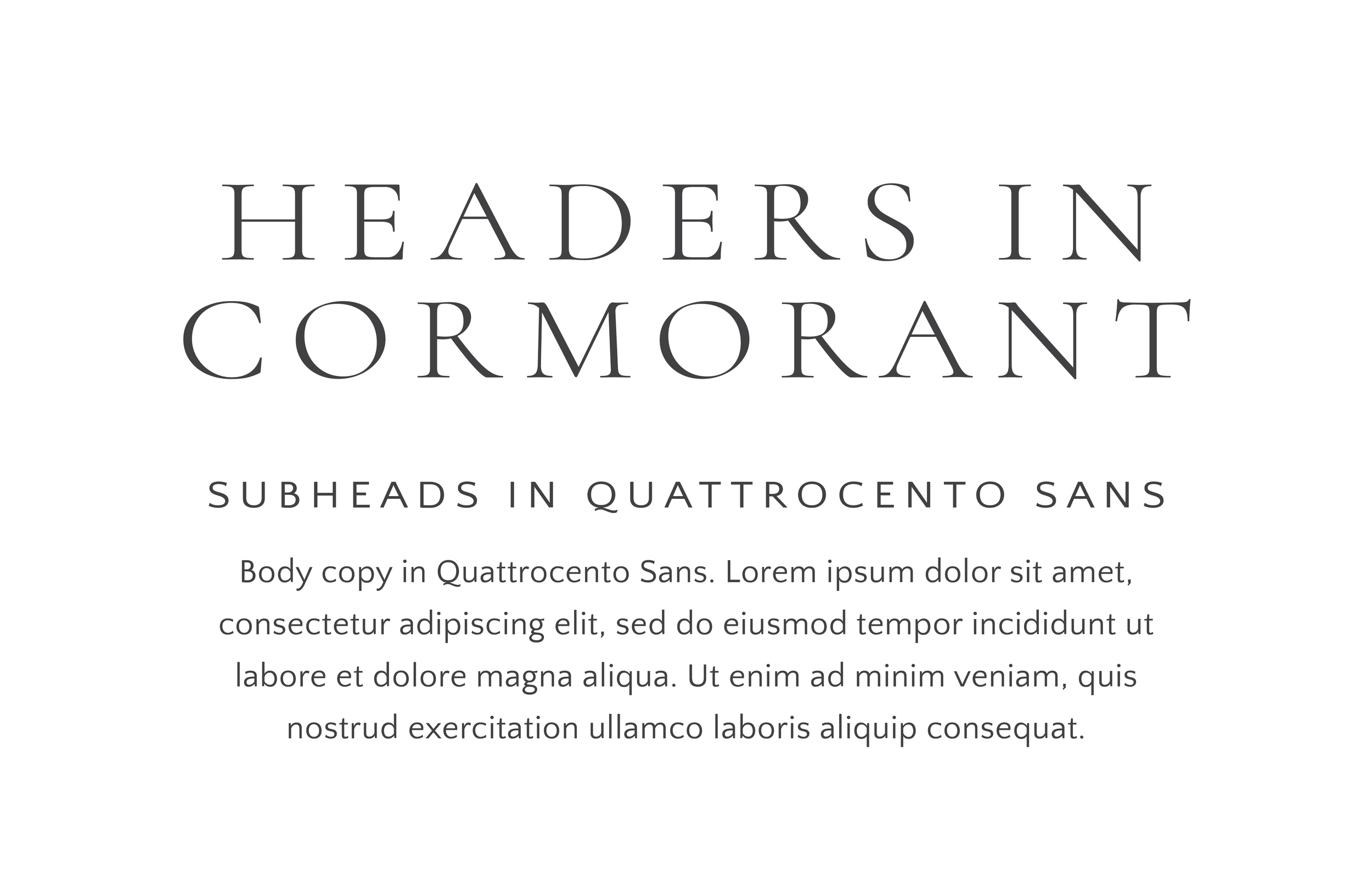 A Beginner’s Guide to Typography — AllieMarie Design