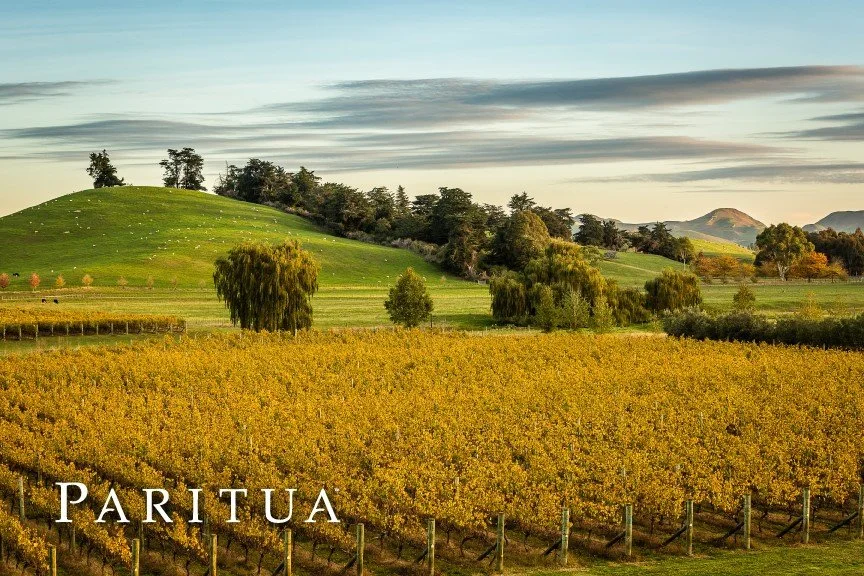 Paritua Vineyard_logo.jpg