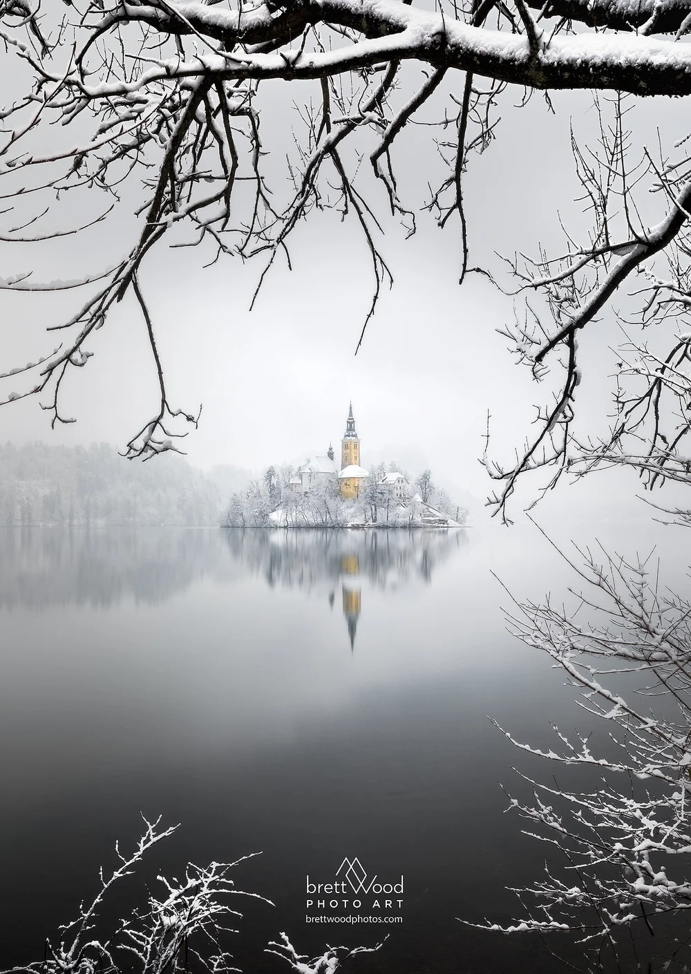 The Art of Framing Landscapes Natural Elements as Your Creative Canvas ...