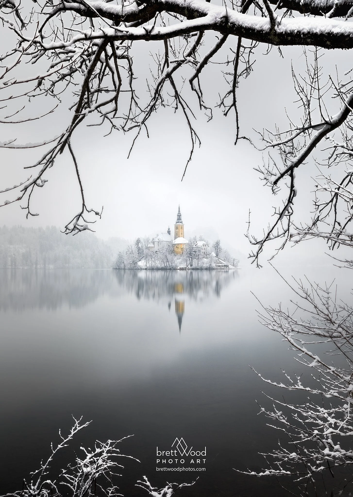 The Art of Framing Landscapes Natural Elements as Your Creative Canvas ...