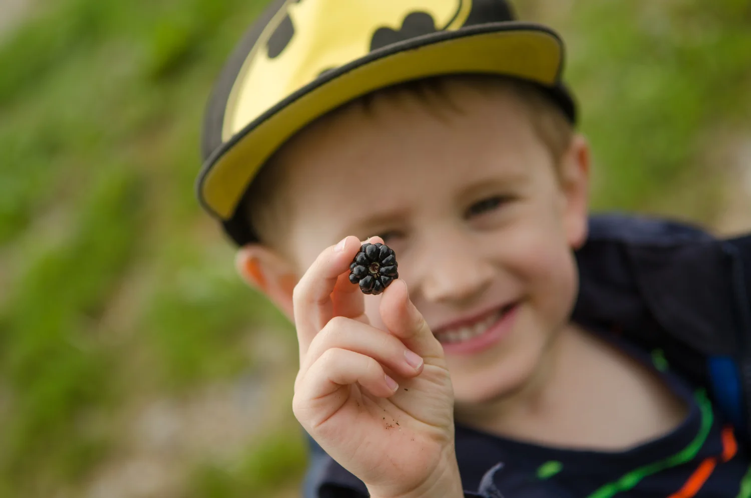 Tea from the Hedgerow — Welton Free Rangers - Forest School Nursery
