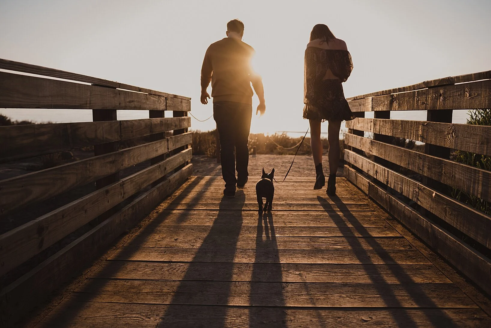 Sunset Photo Session with brand new Frenchie Puppy. San Diego, CA ...