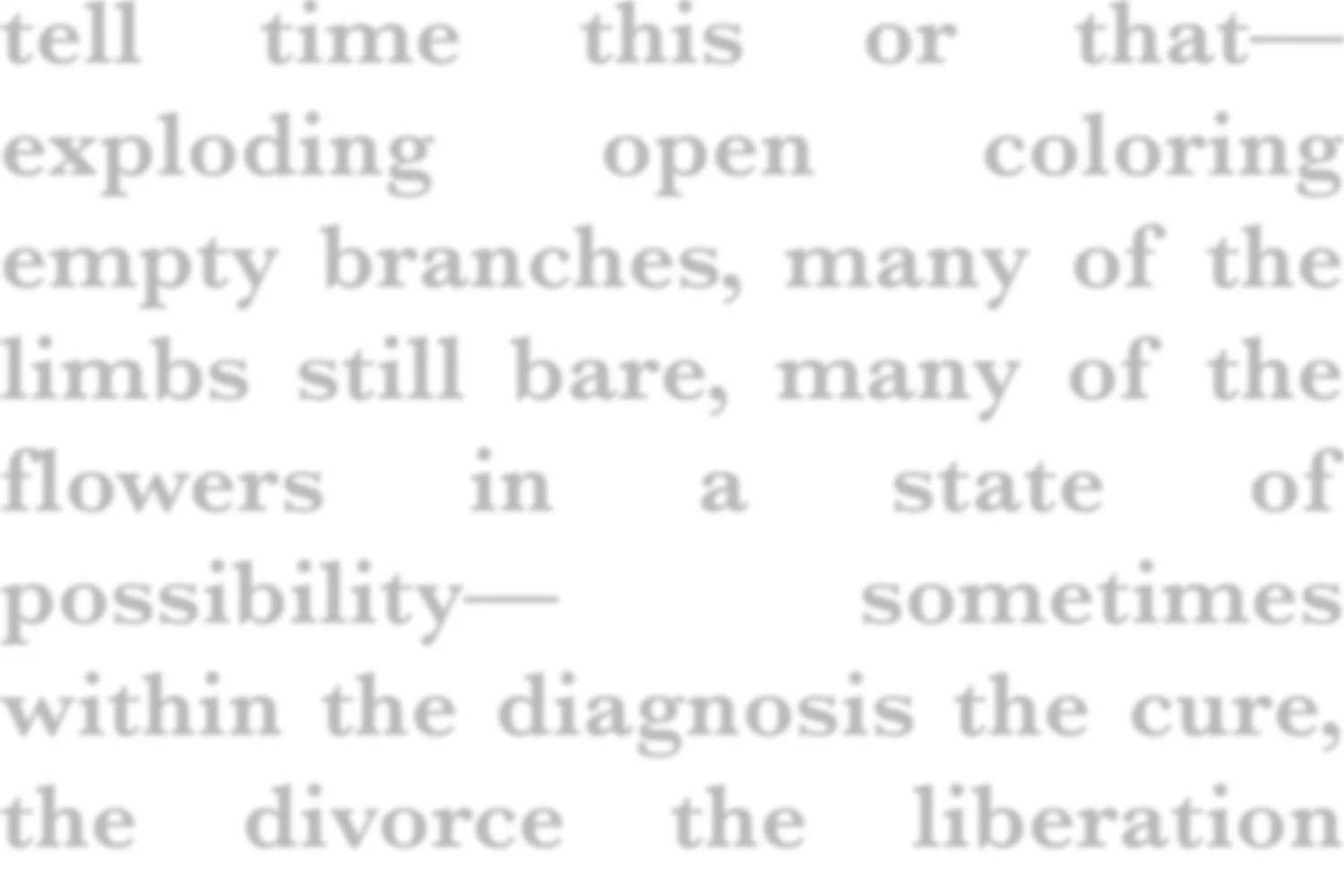 Timothy Cook — pioneertown.