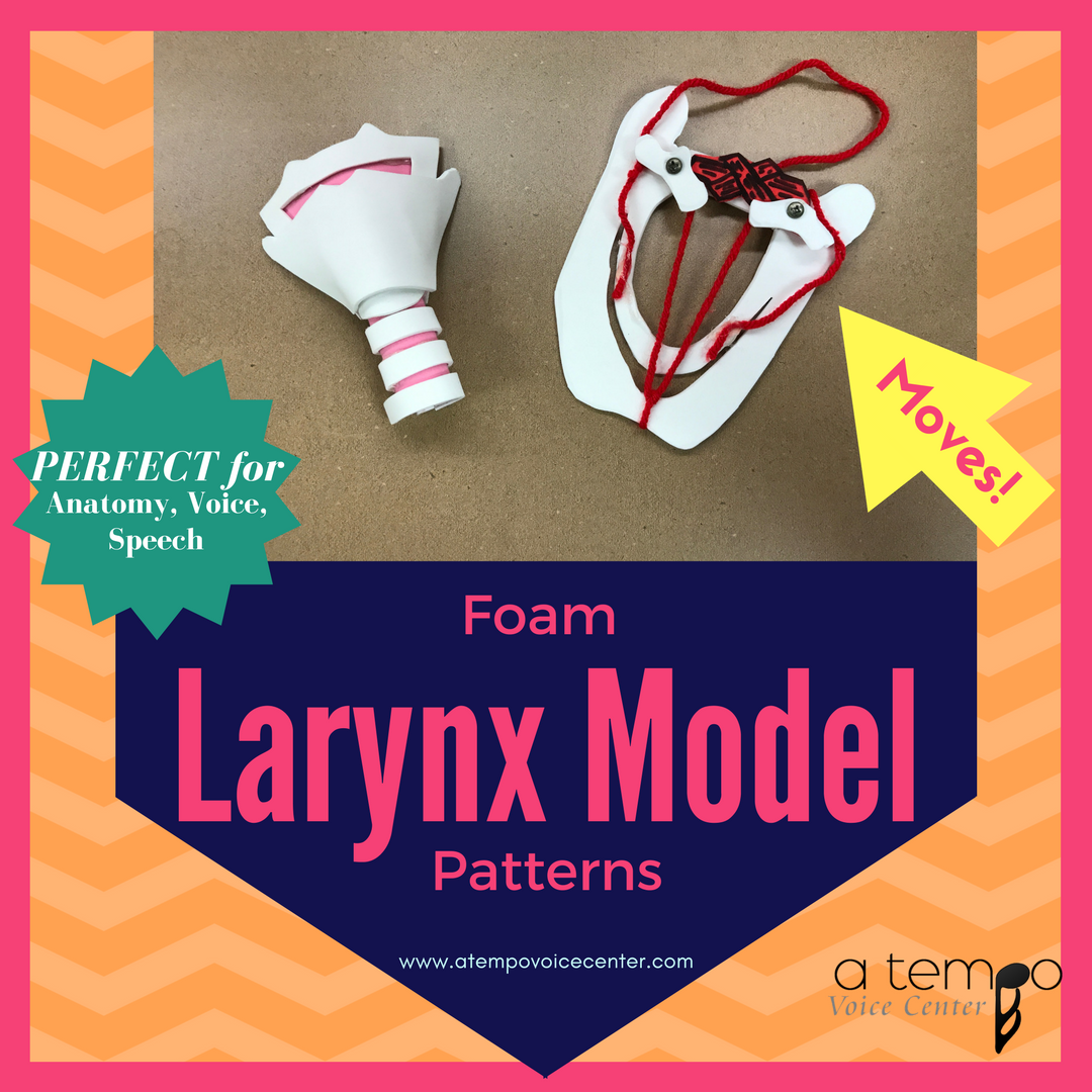DIY Foam Larynx Model Patterns — a tempo Voice Center