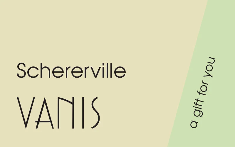 Vanis Gift Cards — Vanis Salon