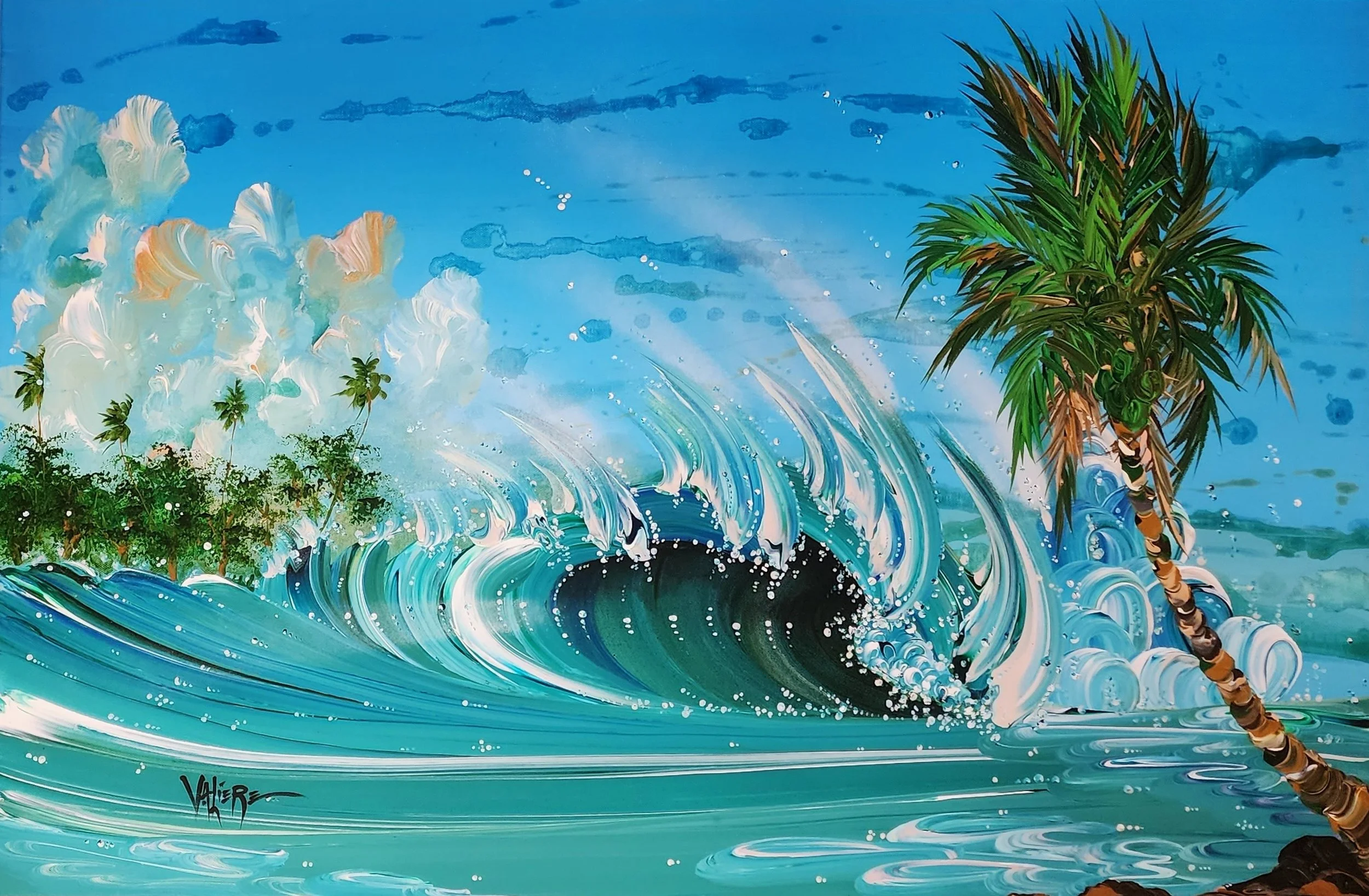 Steven Valiere — Aloha Images