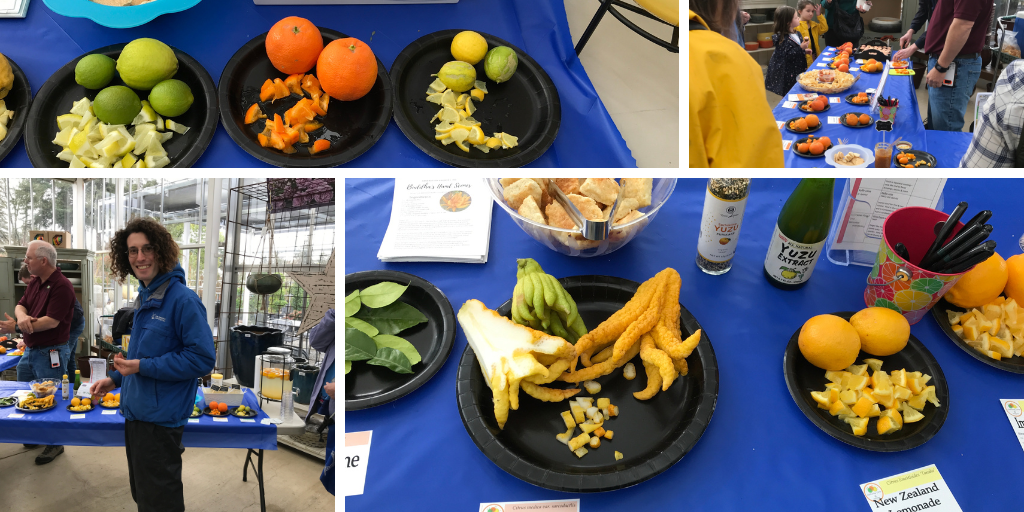 Citrus Tasting Event! — Van Winden's