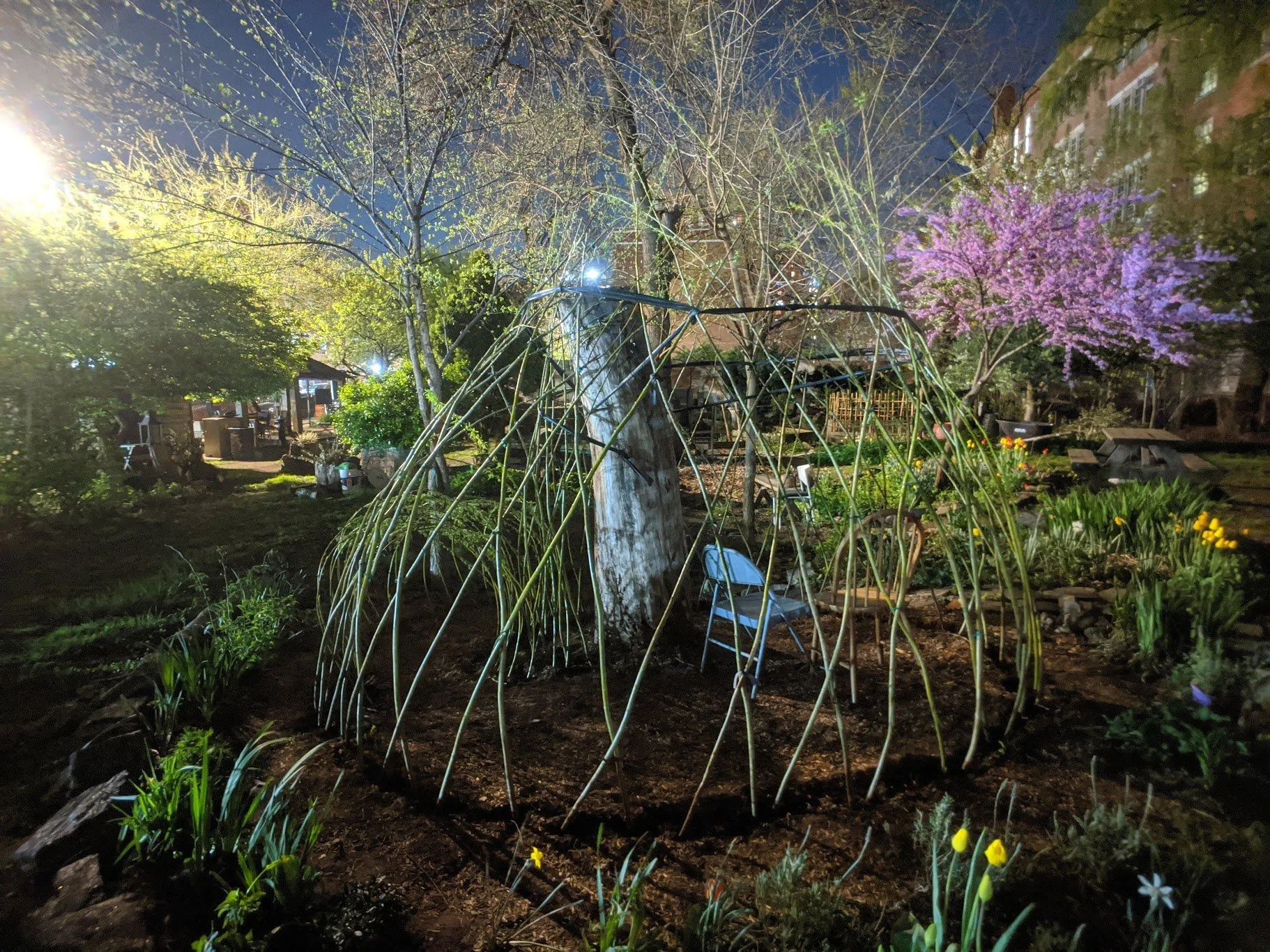 Living Tree Sculptures — More Gardens Fund