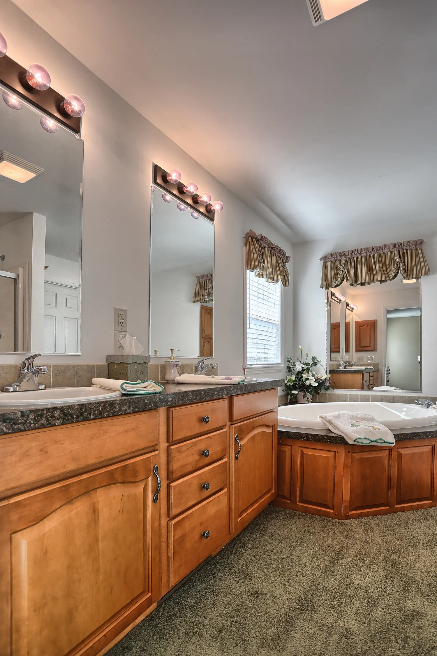 Manufactured Homes Interior Bathroom