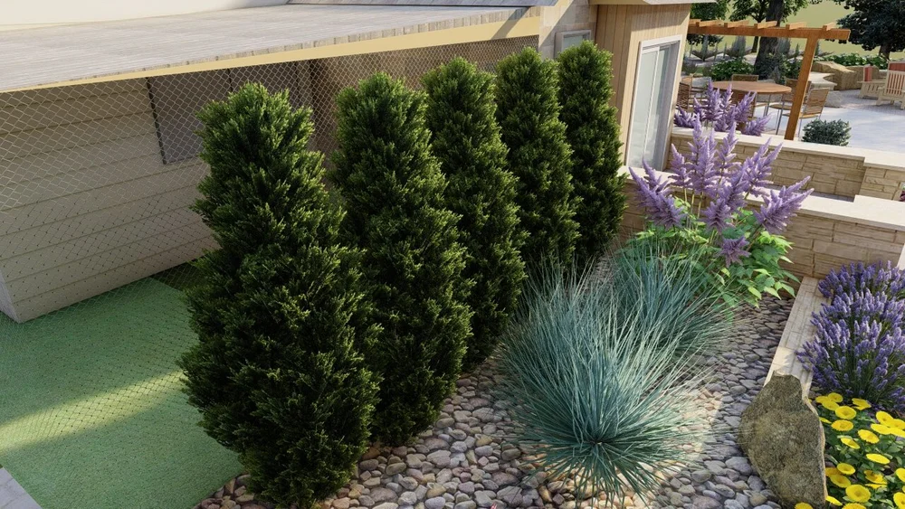 Whats The Best Ground Cover For A Dog Run