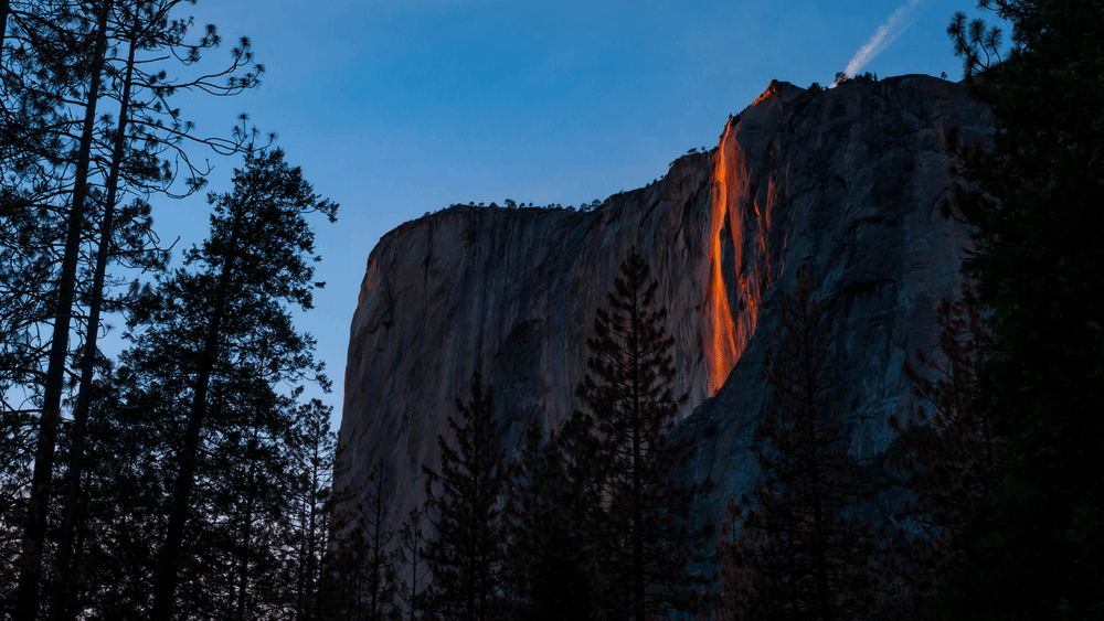 Thanksgiving Weekend Sales! — David J. Crewe Photography
