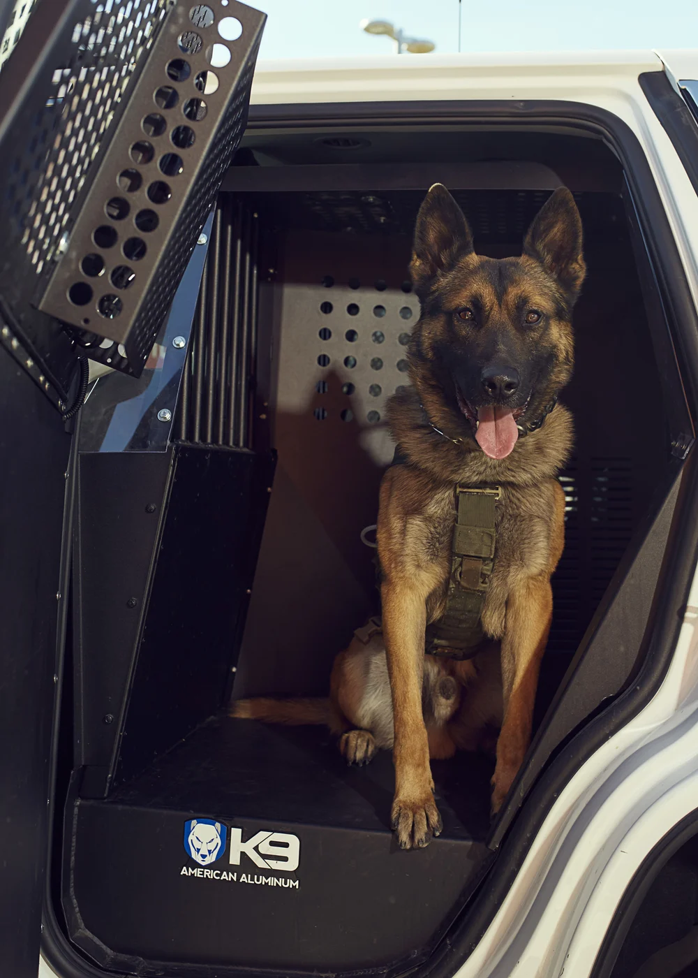 Behind The Scenes of a Police K-9 Unit Photoshoot — David J. Crewe ...