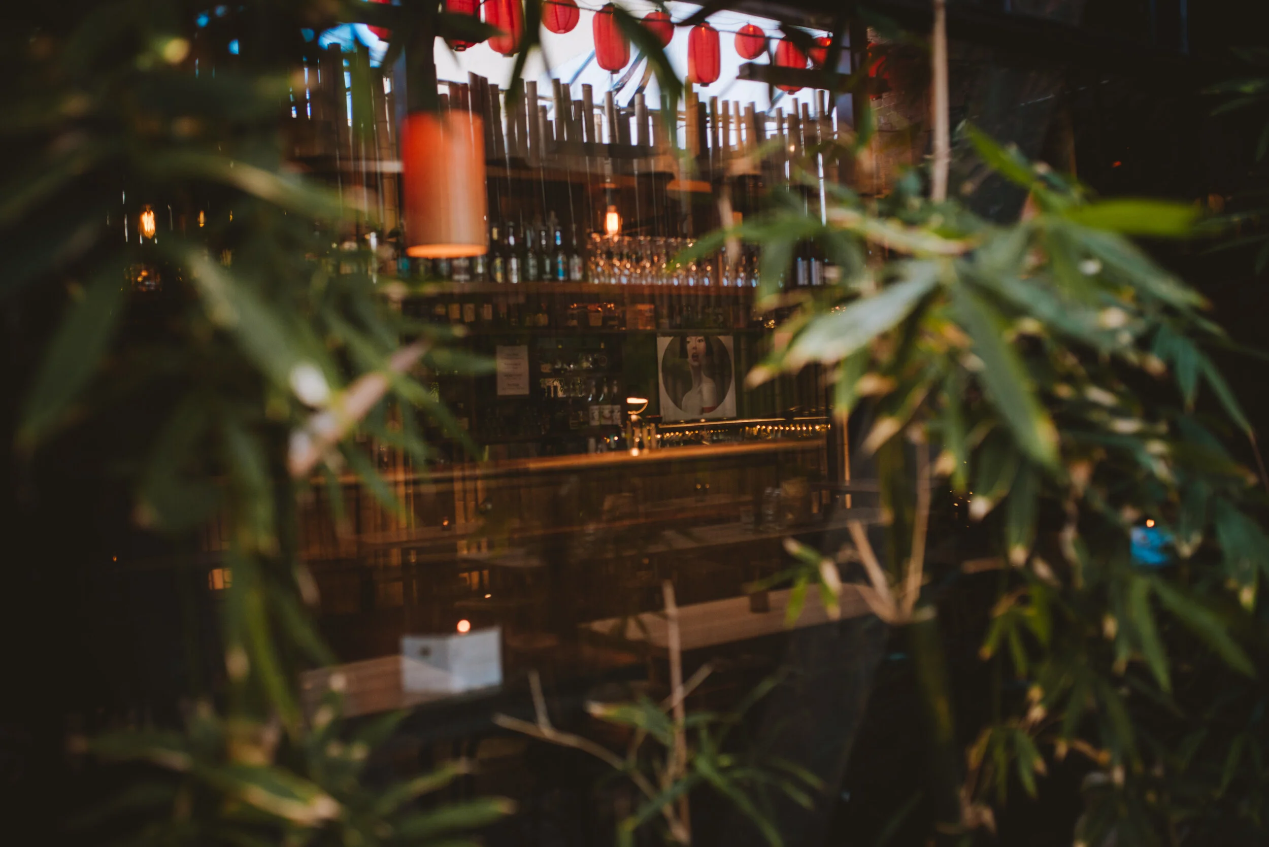 Reservations — DRAGONFLY