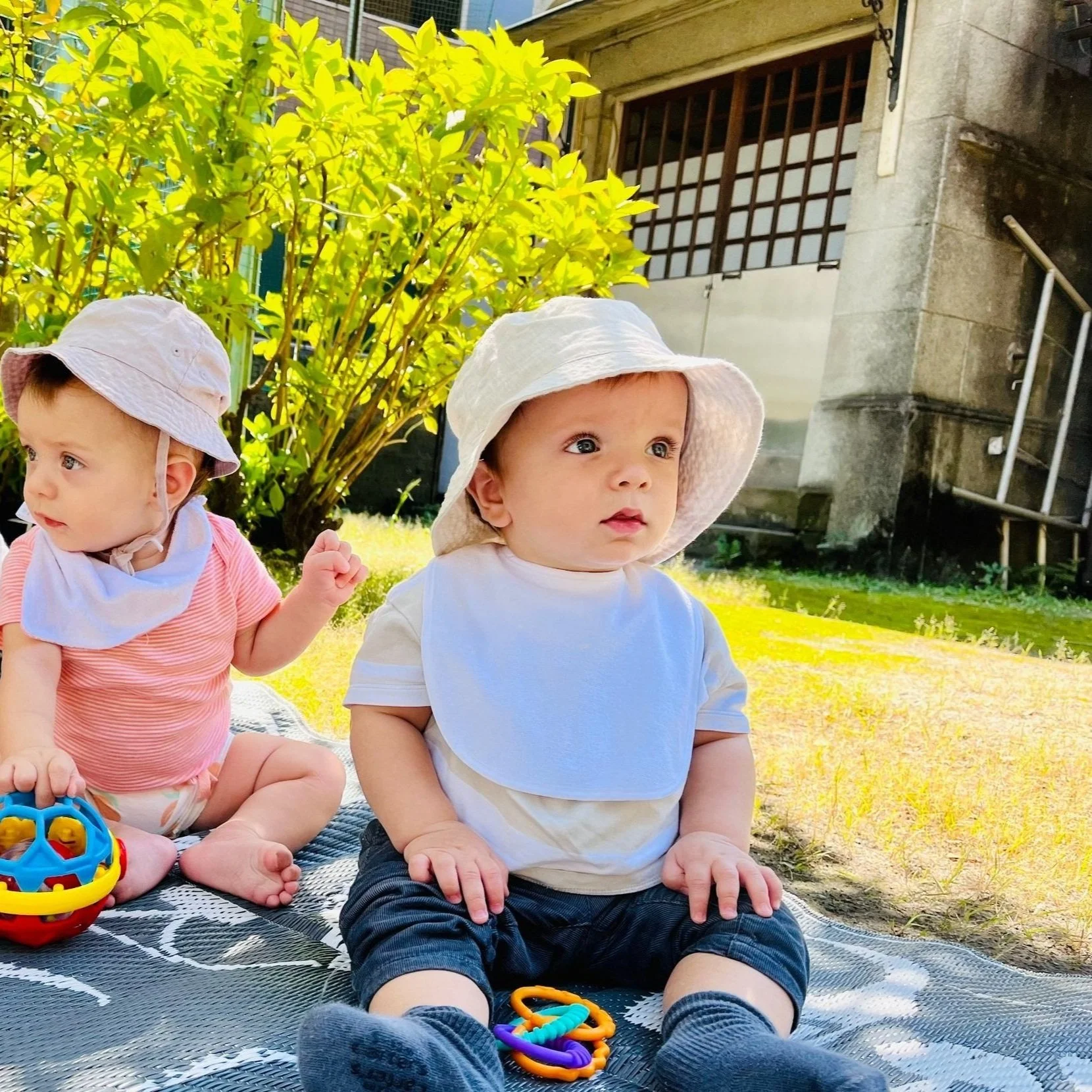 Full Term Programs — Moomin International Kindergarten