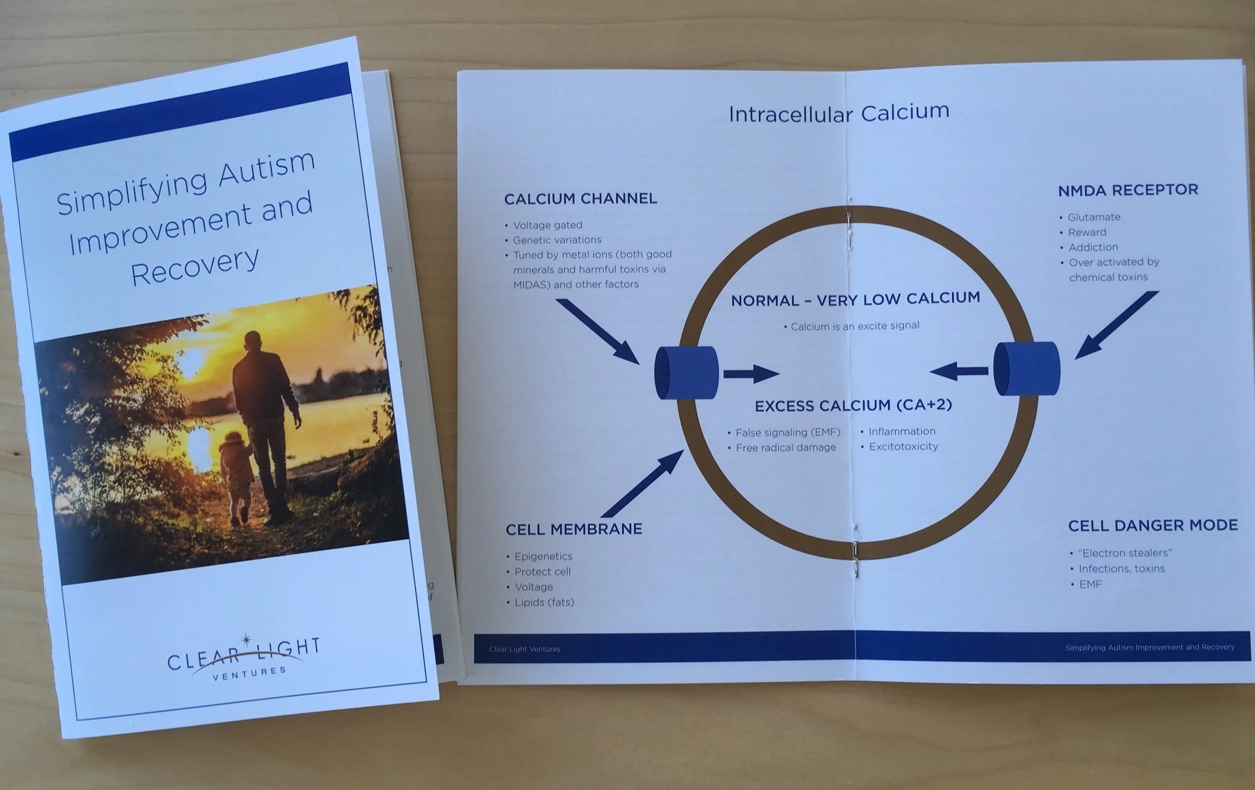Simplifying Autism Improvement and Recovery — Clear Light Ventures