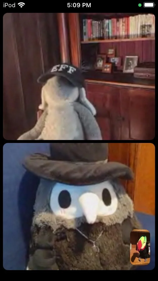 How to: Use Signal for iOS [ro] — Localization Lab