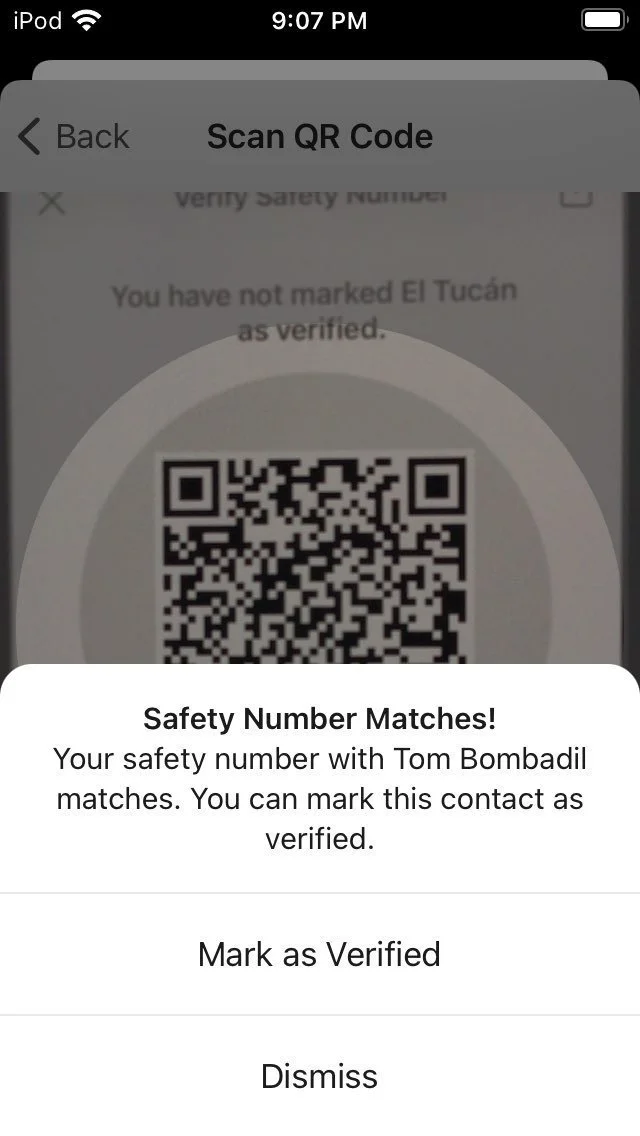 How to: Use Signal for iOS [ro] — Localization Lab
