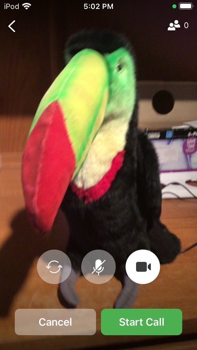 How to: Use Signal for iOS [ro] — Localization Lab