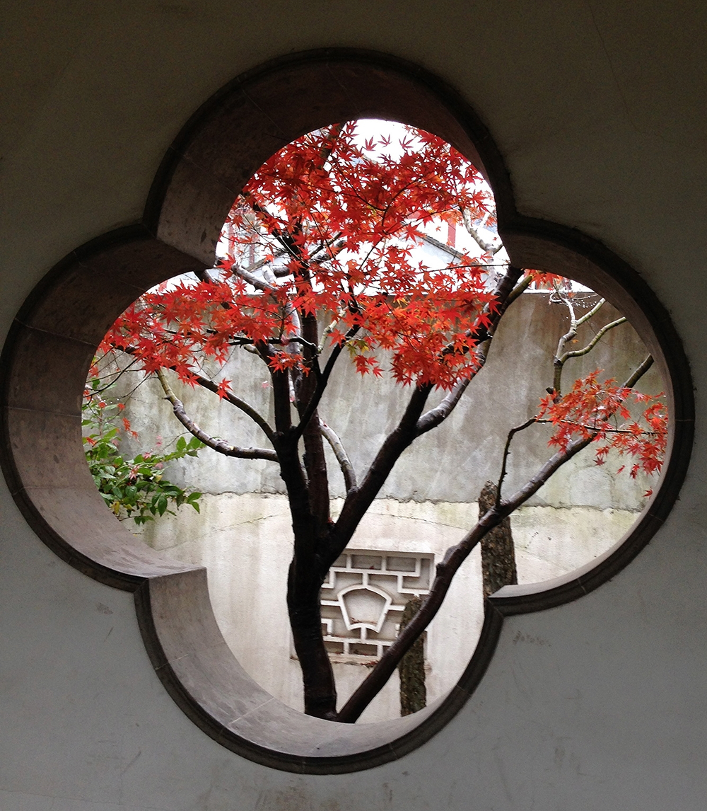 Raven Qi Gong/Nei Gong