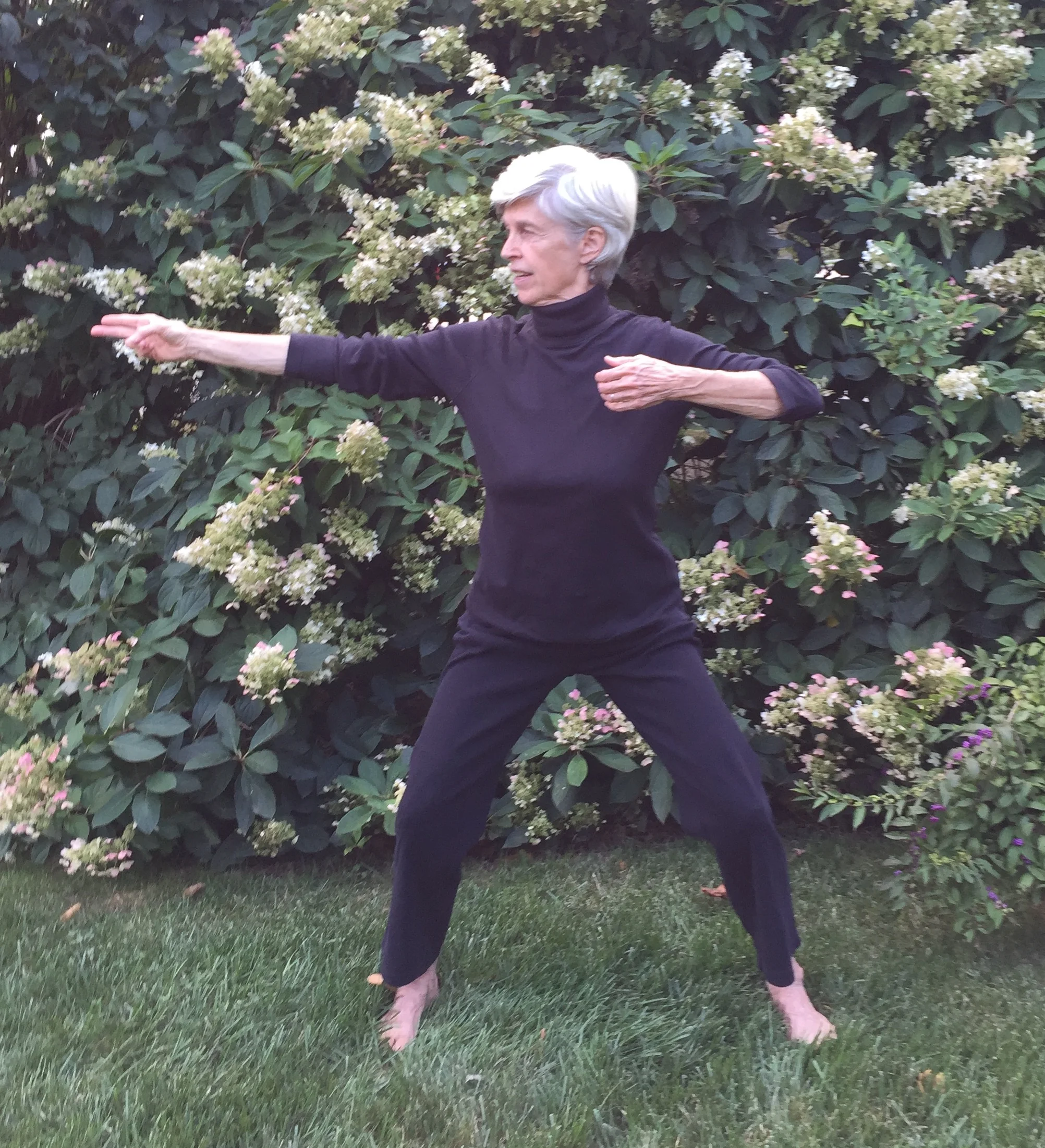 Kit Raven — Raven Qi Gong/Nei Gong