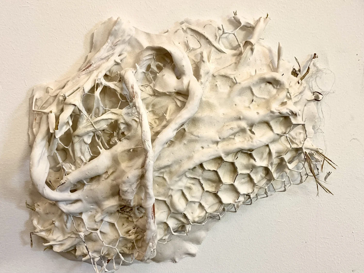 Studio — KATY COOK