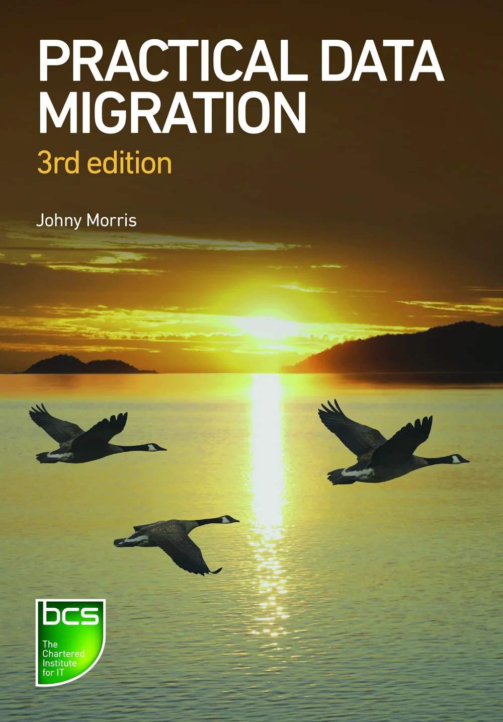 Practical Data Migration