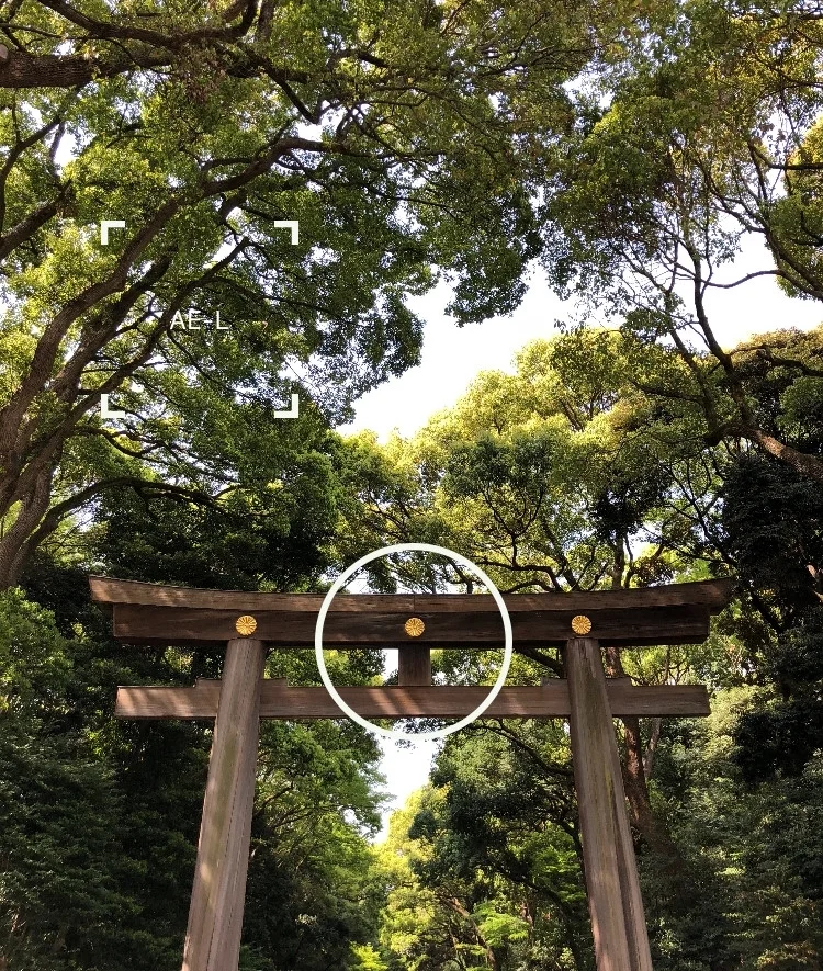 ProShot Android — Rise Up Games