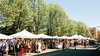 Portland Flea