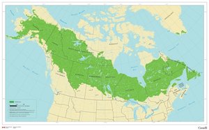 Unit A : Trees & Forests 1 — Kurpinski's Class