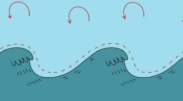 Unit E : Fresh & Saltwater Systems I — Kurpinski's Class