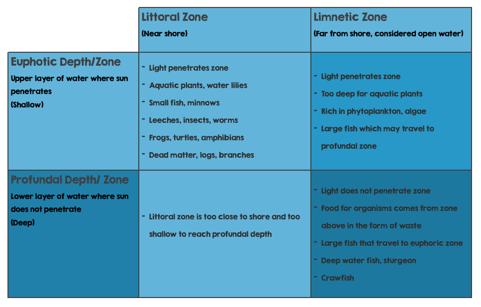 Unit E : Fresh & Saltwater Systems II — Kurpinski's Class