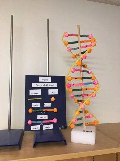 Unit A : Biological Diversity II — Kurpinski's Class