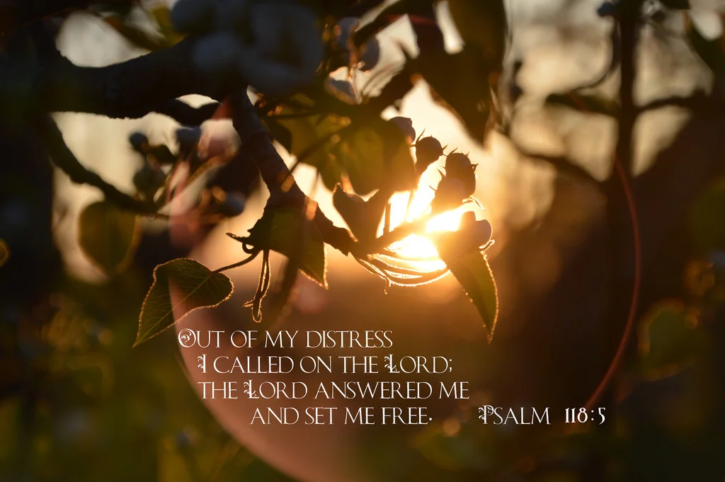 Psalm 118 6 Meaning CorranCasian