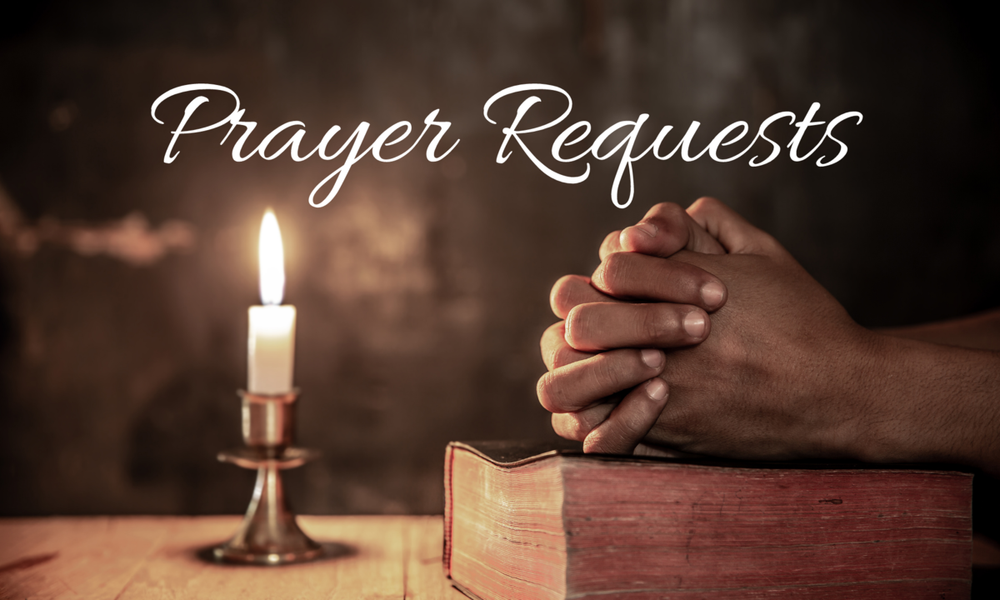 Sumbit your Prayer Request or Testimony — Tell the Lord Thank You