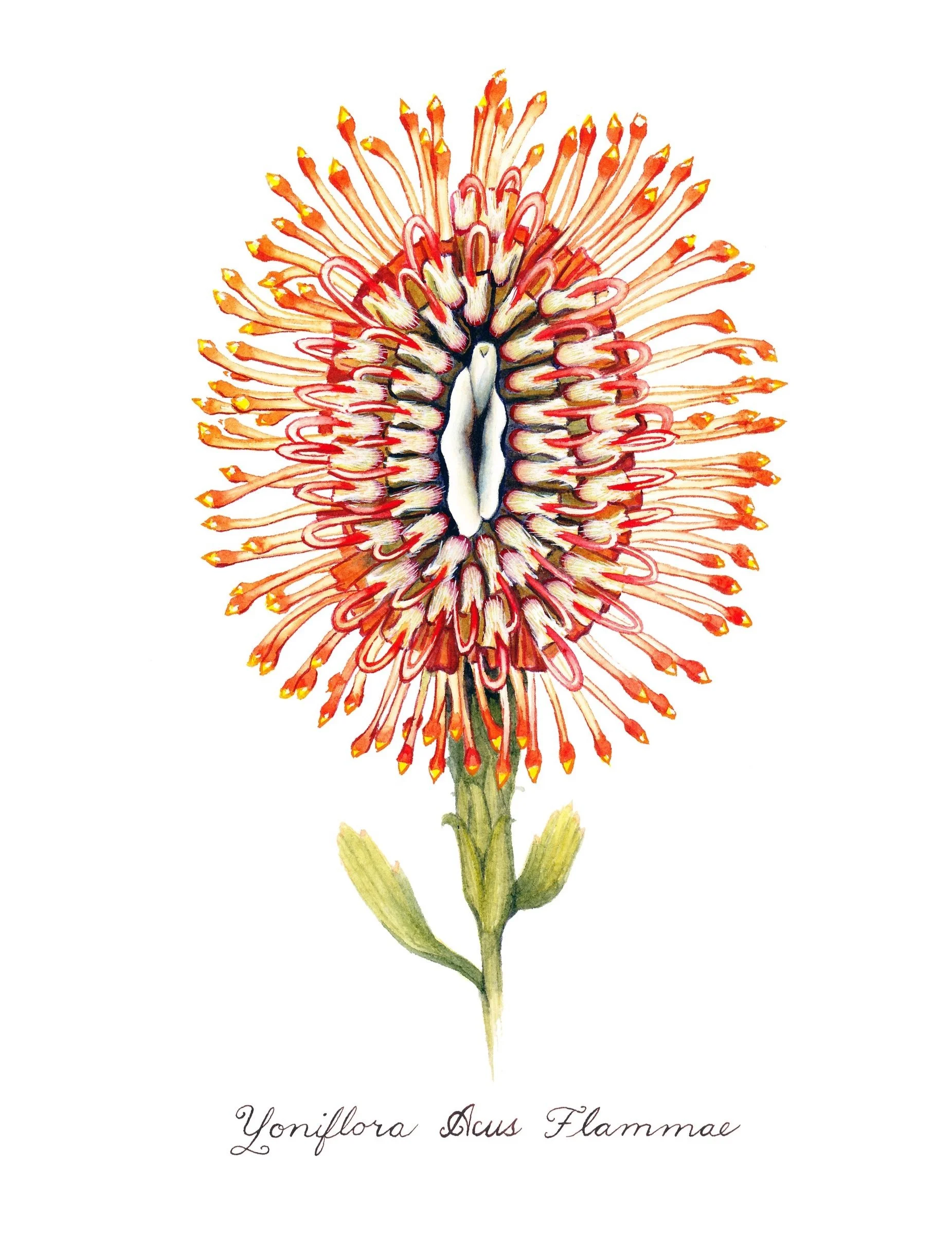 Yoni Flower New Art: Needle Flame Yoniflower — Seattle Artist