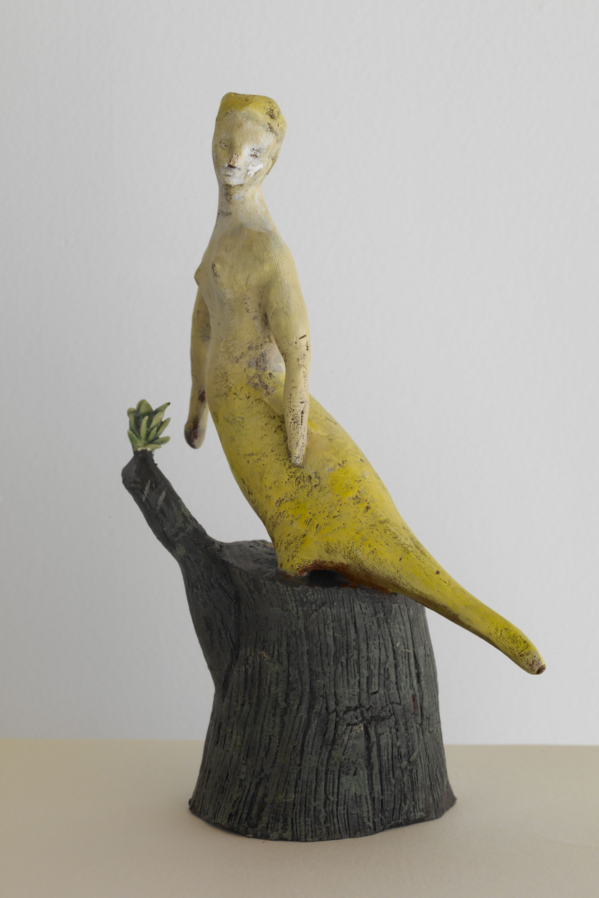 Curiosities — Bonnie Marie Smith