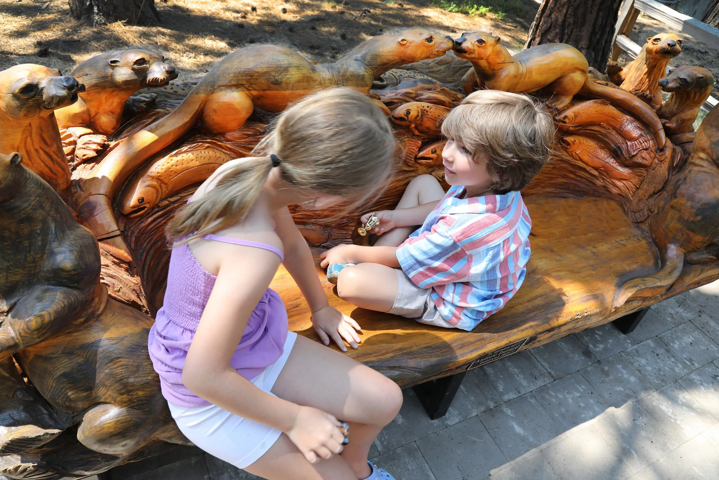 J. Chester Armstrong's Otter Bench Project — Sisters Gallery & Frame Shop
