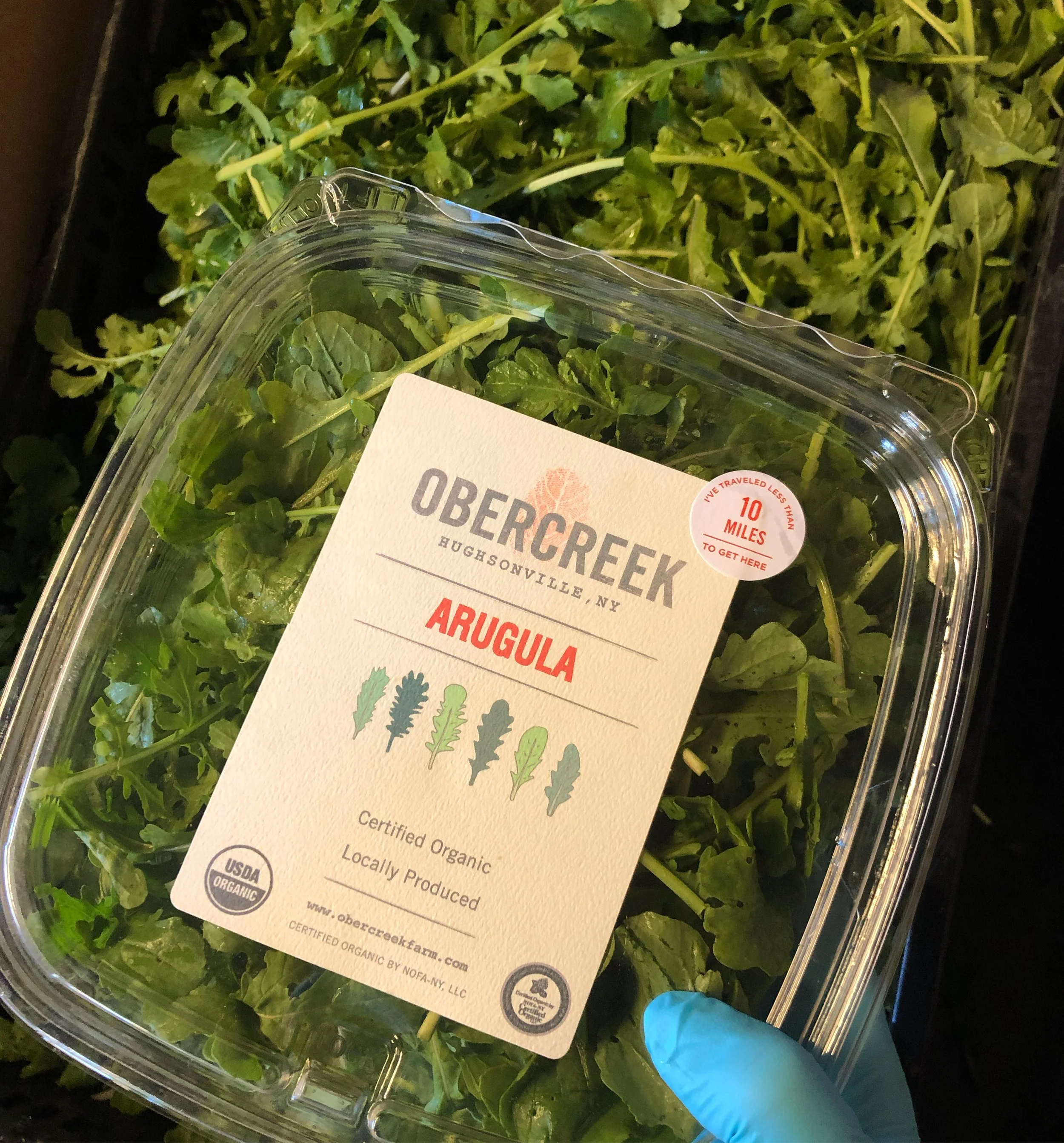 Obercreek Farm: Organic Vegetables, Flowers and Hops