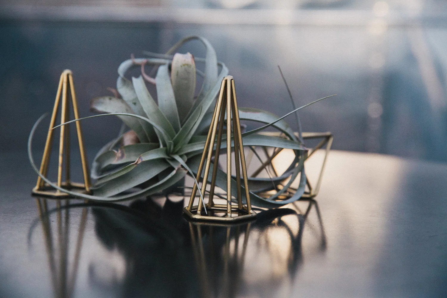 Gold Geometric Shapes — Otis + Pearl Partywares Vintage Event Rentals ...
