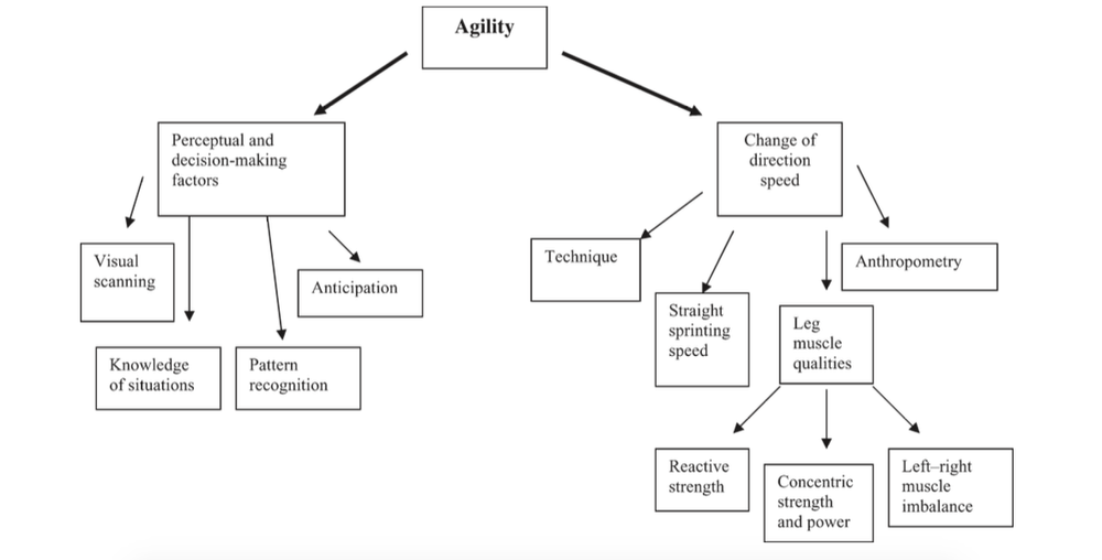 Agility vs. Change-of-Direction in Tennis - Differences & Demands