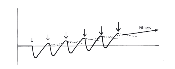 Progressive Loading On and Off the Tennis Court
