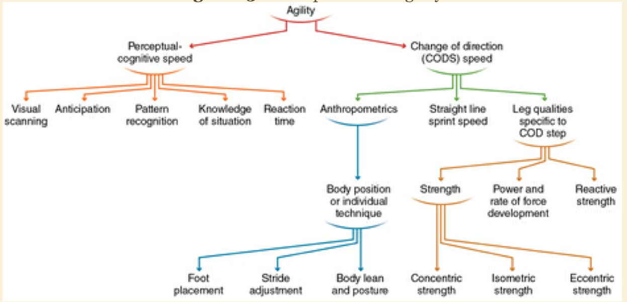 Using Key Coordination Principles to Enhance Tennis-Specific Skill ...