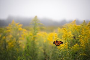 Blog — Larissa Burak Photography