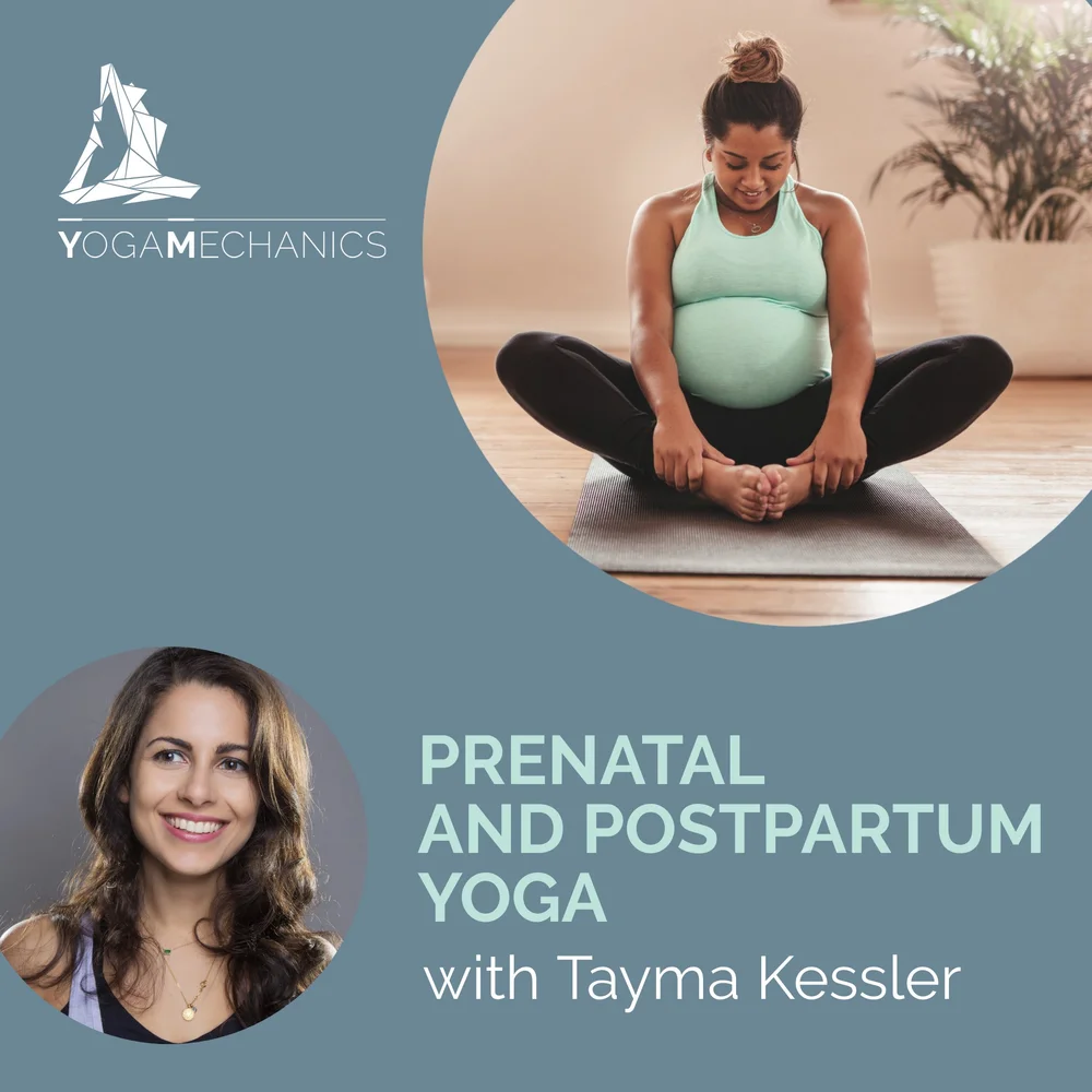 Prenatal & Postpartum Series — Yoga Mechanics
