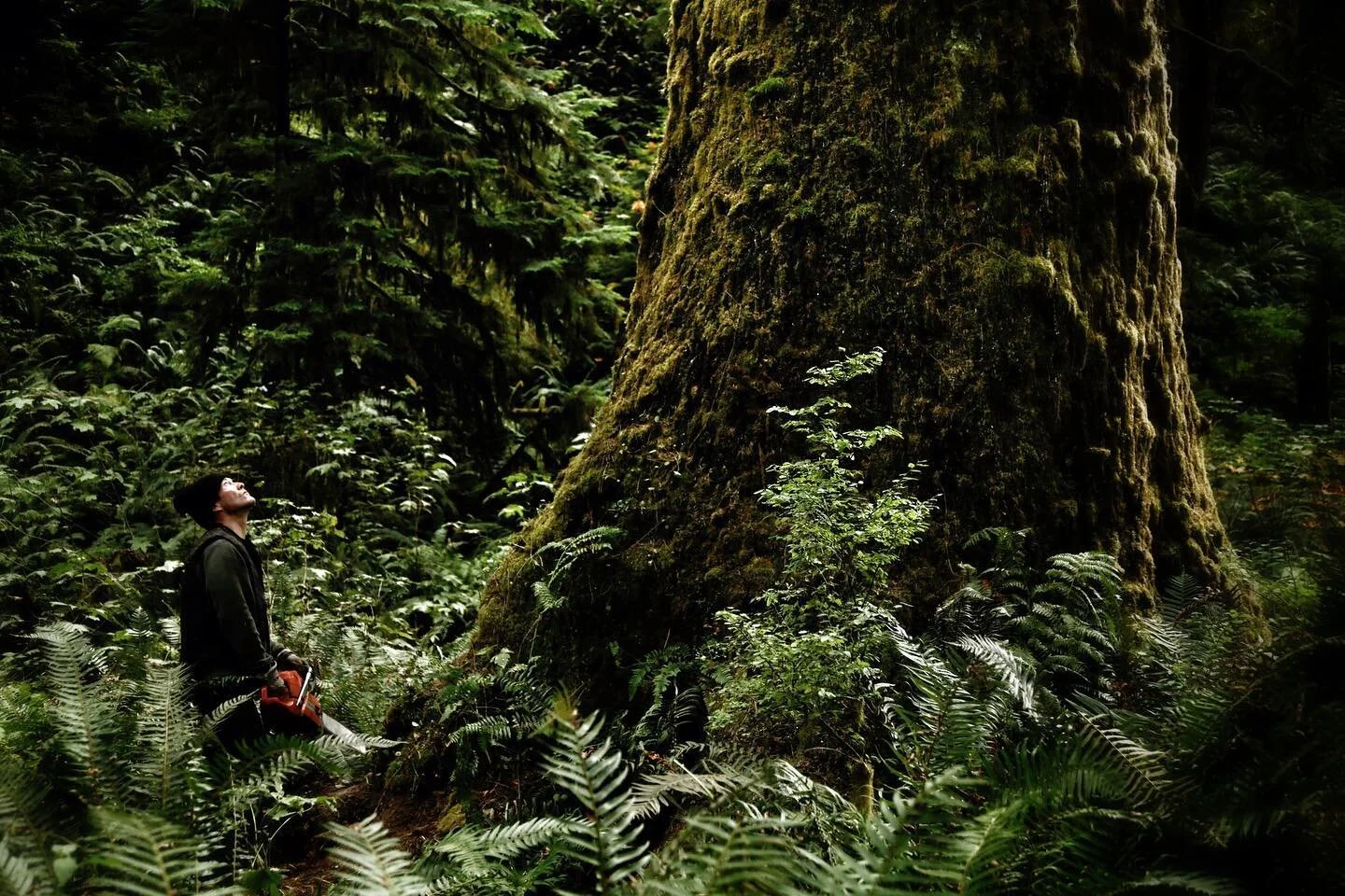 Sasha Snow Film Production