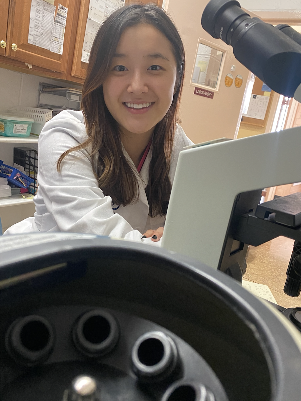 Program Overview — Honors College, Integrated Life Sciences