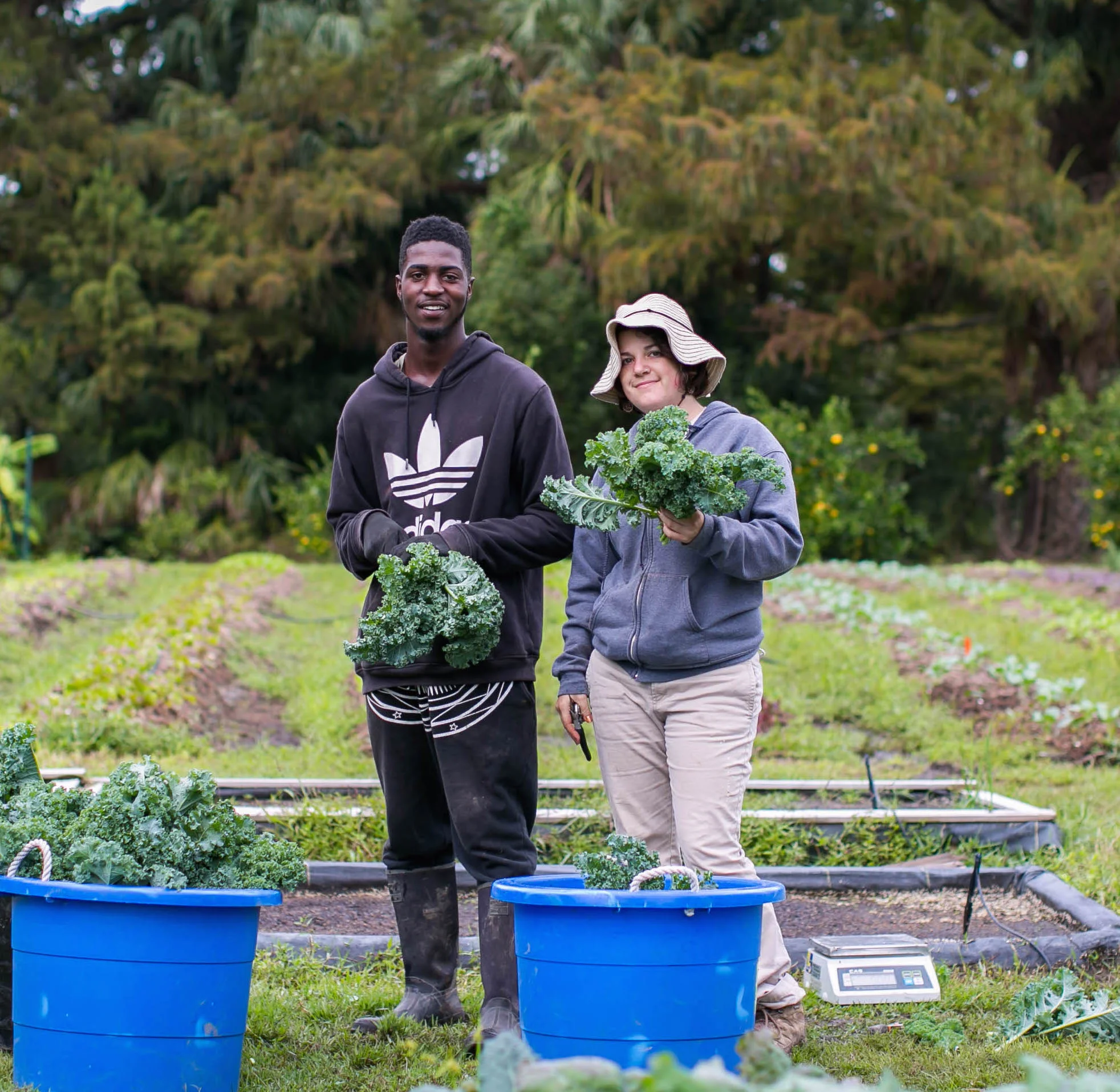 Events & Workshops — Grow Dat