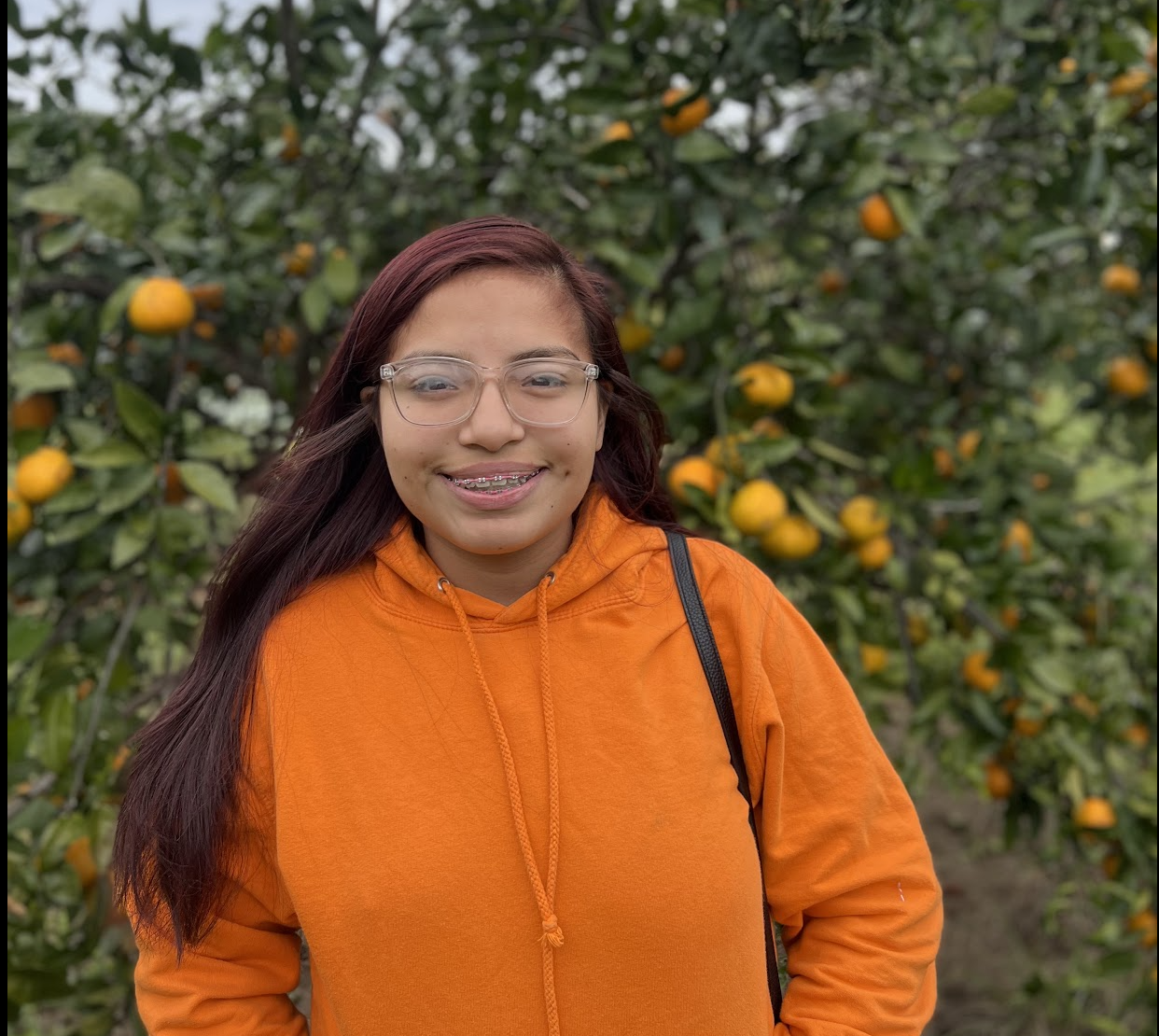 Alumni Voices — Grow Dat