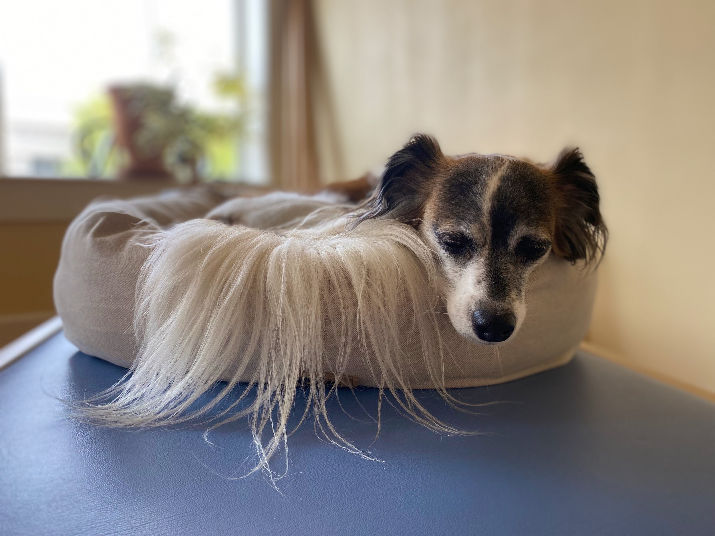 Fitness and Health Reimagined